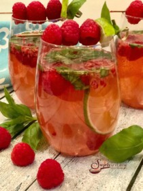 Tart Raspberry Alcoholic Drinks: Our Favorite Recipes - Aspiring Winos