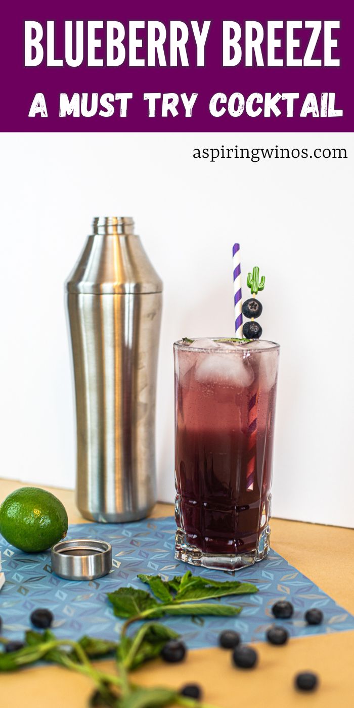 Blueberry Breeze Cocktail Recipe You Need To Try - Aspiring Winos