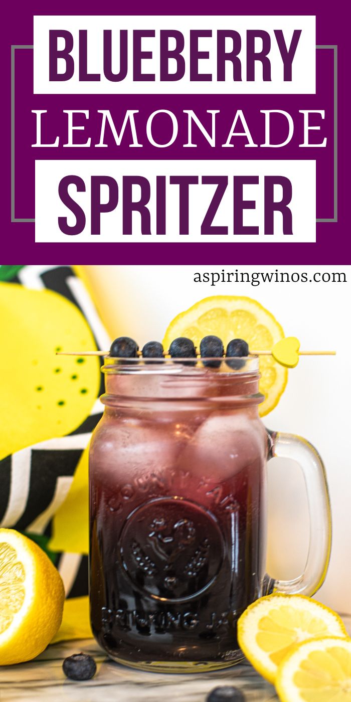 Amazing Blueberry Lemonade Spritzer Cocktail - Aspiring Winos