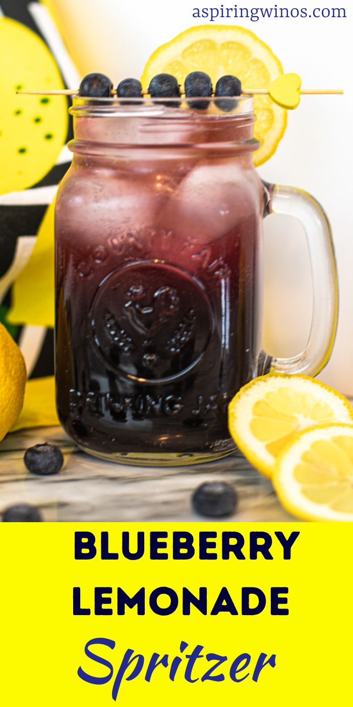 Amazing Blueberry Lemonade Spritzer Cocktail - Aspiring Winos