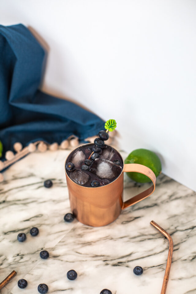 Blueberry Mule Cocktail: A Unique Twist on a Classic - Aspiring Winos