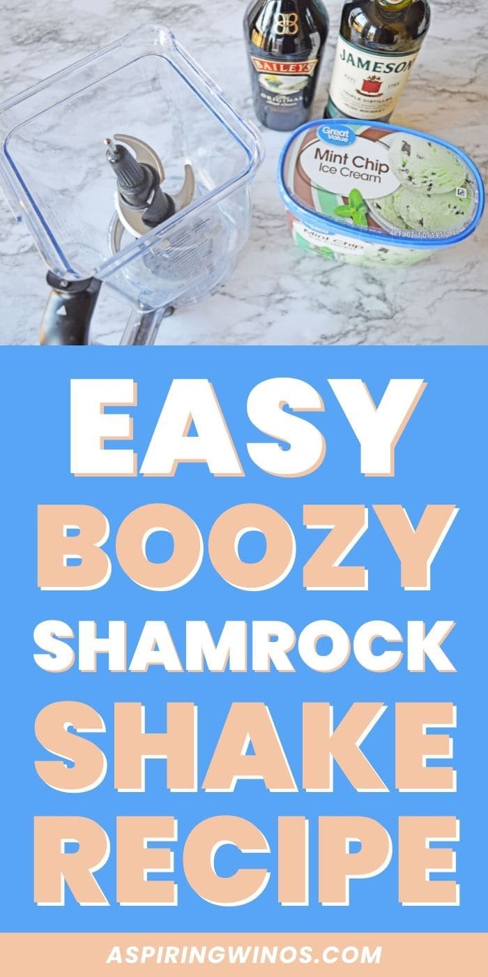 Boozy Shamrock Shake Recipe - Aspiring Winos