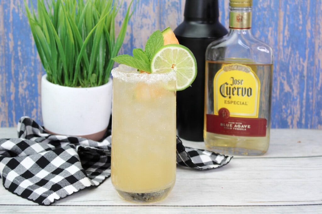 40 Delicious (alcoholic) Drinks That Use Mint: Put your Garden Mint to ...