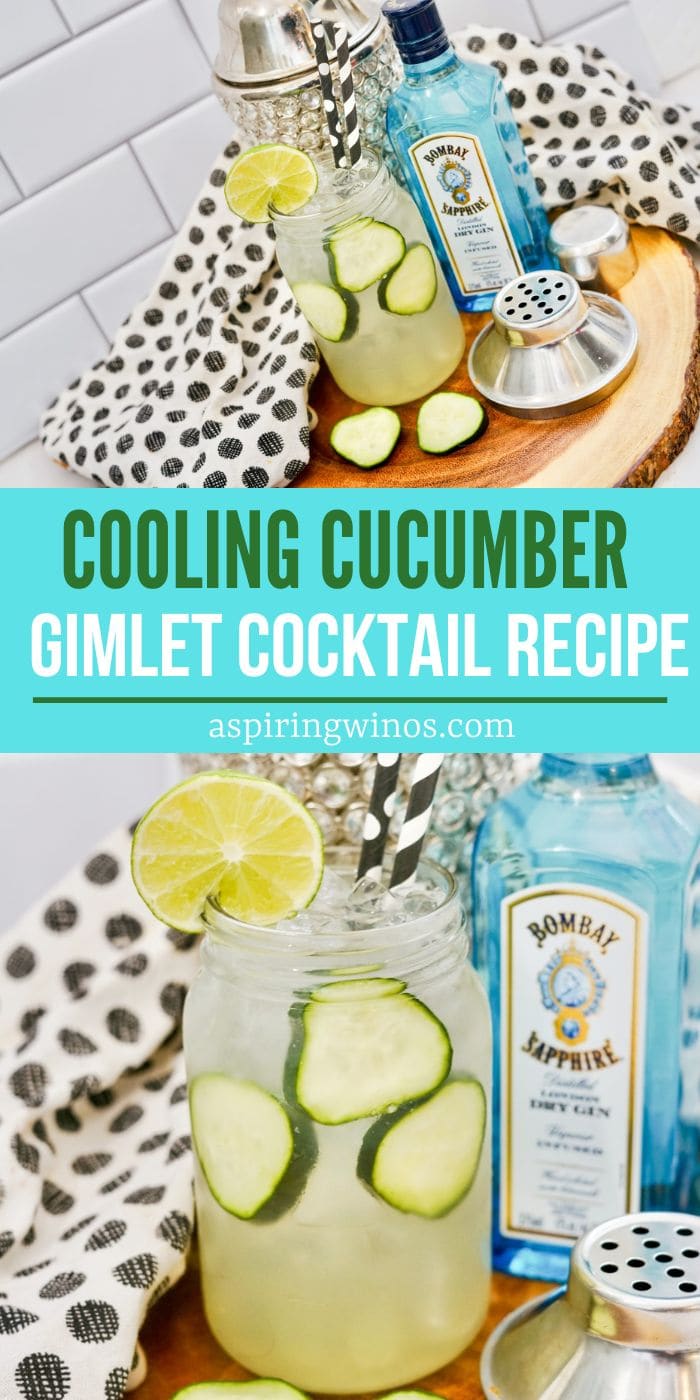 Cooling Cucumber Gimlet Cocktail Recipe - Aspiring Winos