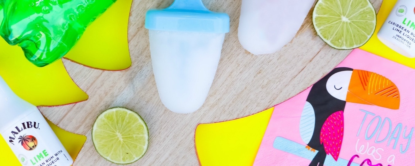 Malibu Ice Pops - Aspiring Winos | Adult Alcoholic Summer Popsicles