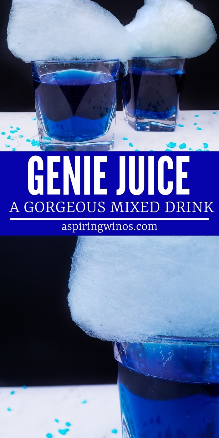 Genie Juice Cocktail - Aspiring Winos