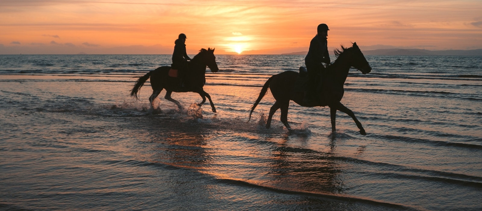 Places You Can Go Horseback Riding AND Wine Tasting - Aspiring Winos