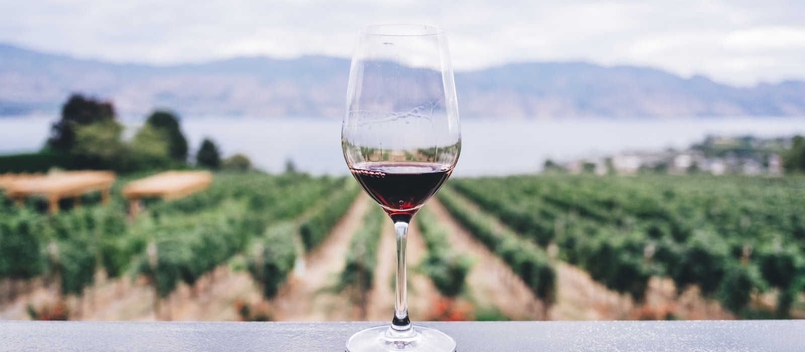How to Plan a Bachelorette Party in Wine Country - Aspiring Winos