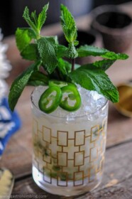 40 Delicious (alcoholic) Drinks That Use Mint: Put your Garden Mint to ...