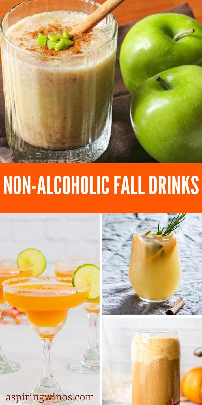 Non-Alcoholic Fall Drinks - Aspiring Winos