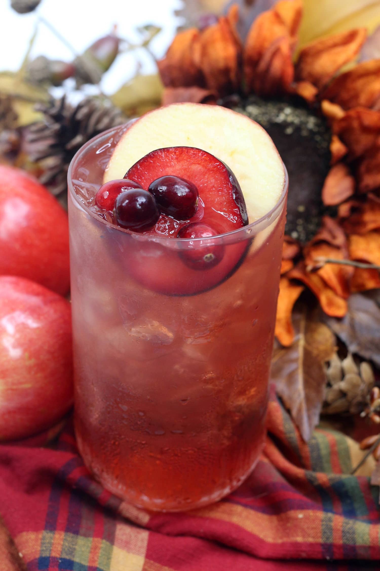 Plum Apple Spiced Toddy - Aspiring Winos