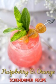 Tart Raspberry Alcoholic Drinks: Our Favorite Recipes - Aspiring Winos