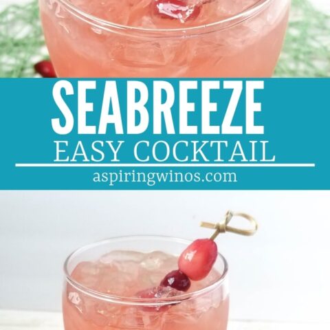 Seabreeze Cocktail Recipe: 5-Minute Masterpiece - Aspiring Winos