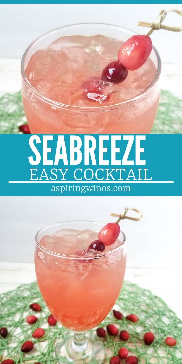 Seabreeze Cocktail Recipe: 5-Minute Masterpiece - Aspiring Winos
