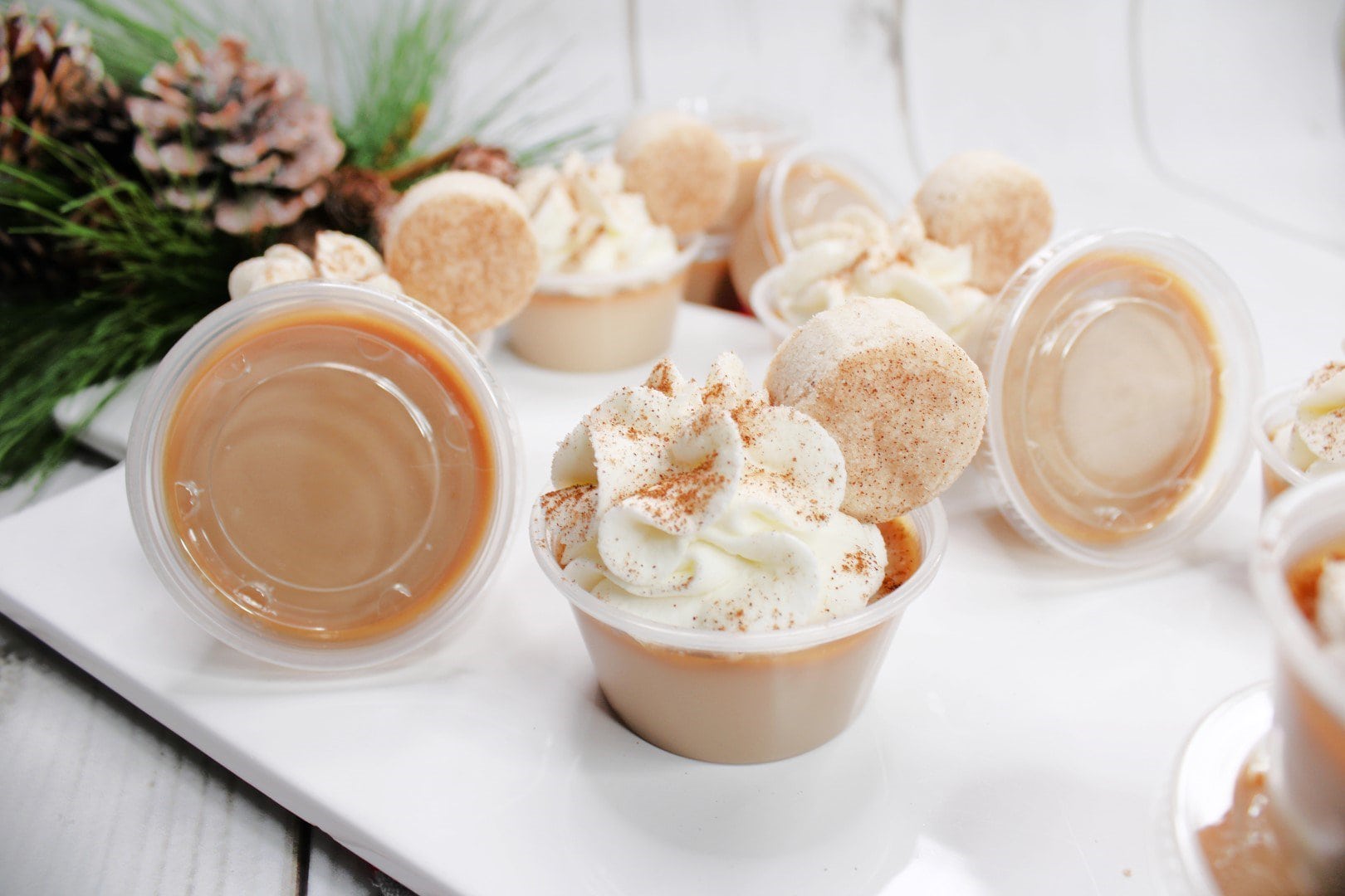 Snickerdoodle Jello Shot Recipe - Aspiring Winos