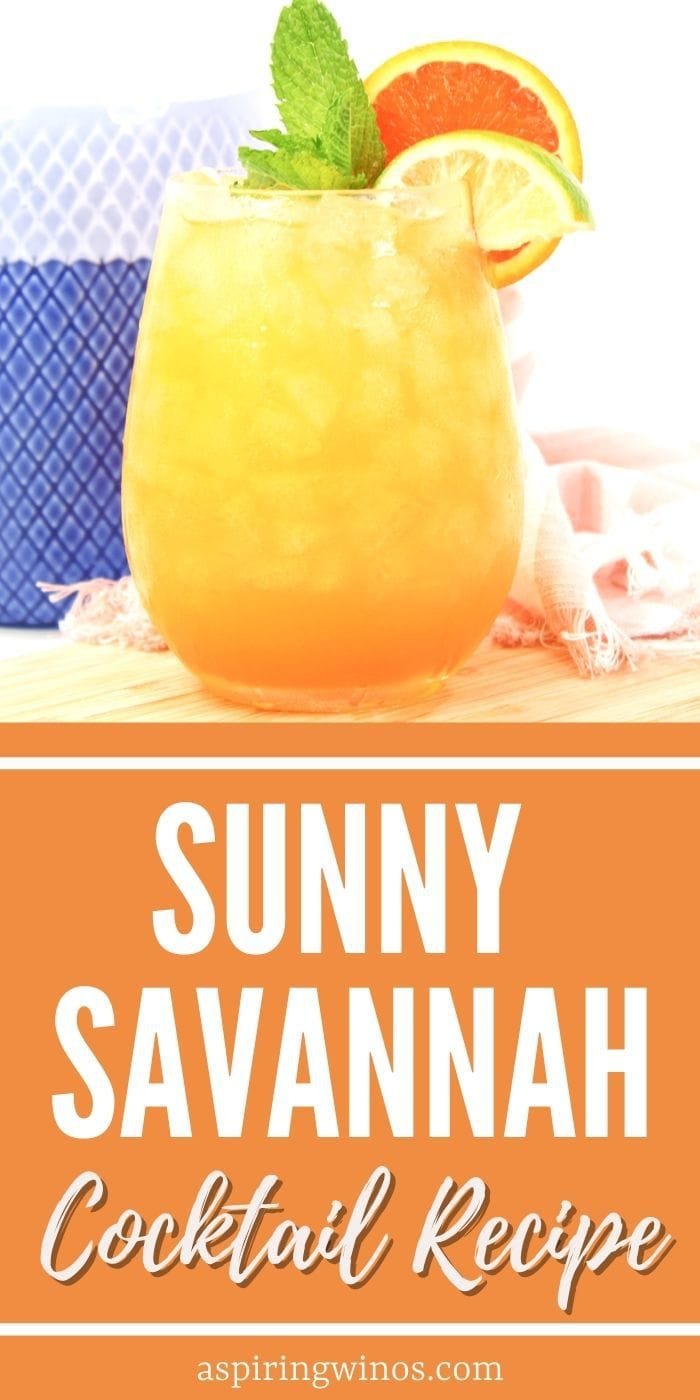 Sunny Savannah Cocktail Recipe - Aspiring Winos
