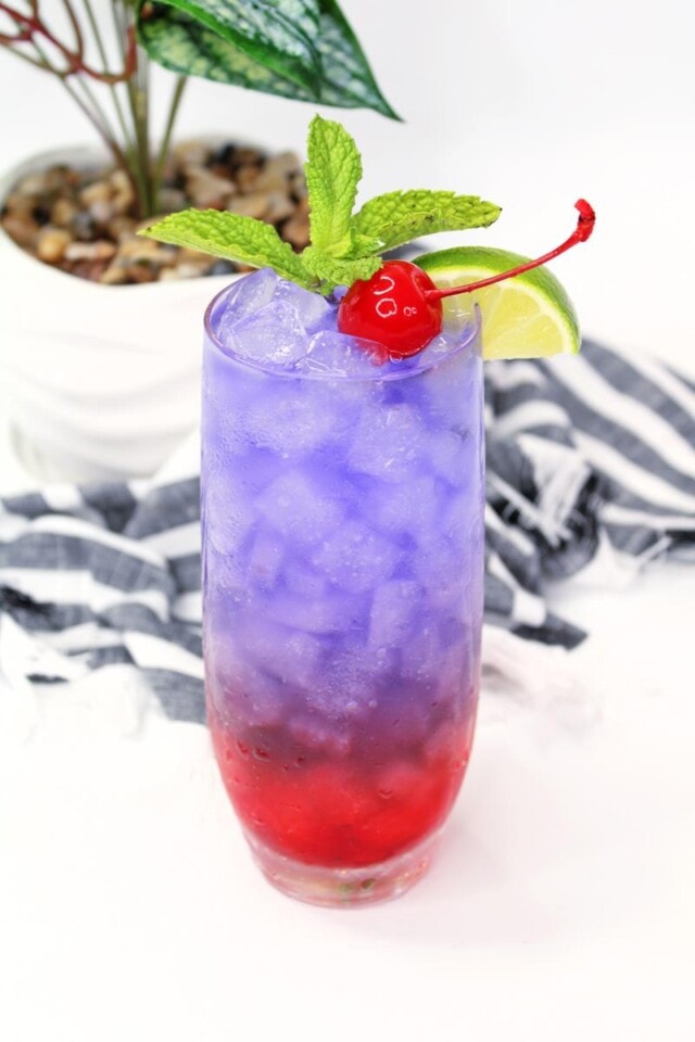 The Circle Purple Fade Cocktail Recipe - Aspiring Winos