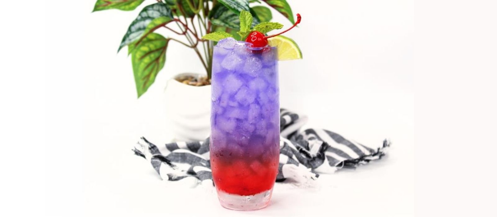 The Circle Purple Fade Cocktail Recipe - Aspiring Winos