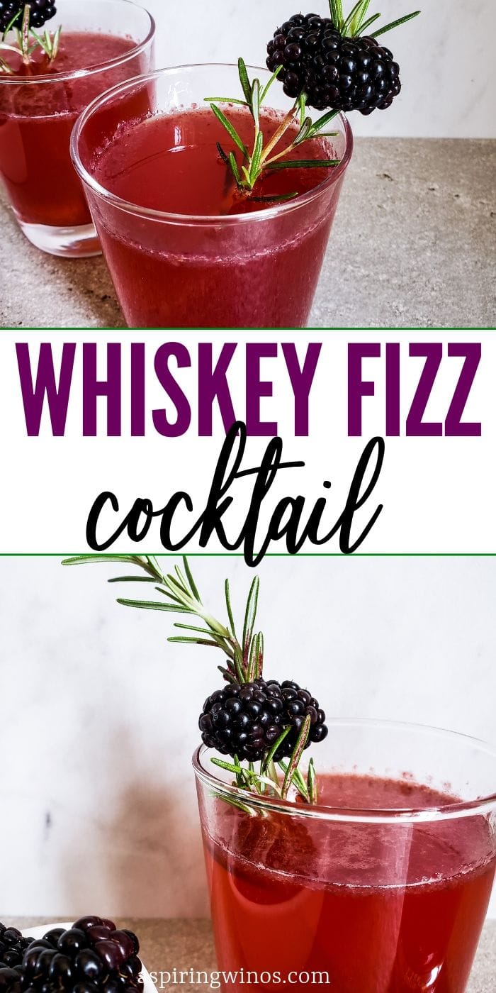 Whisky Fizz Cocktail - Aspiring Winos