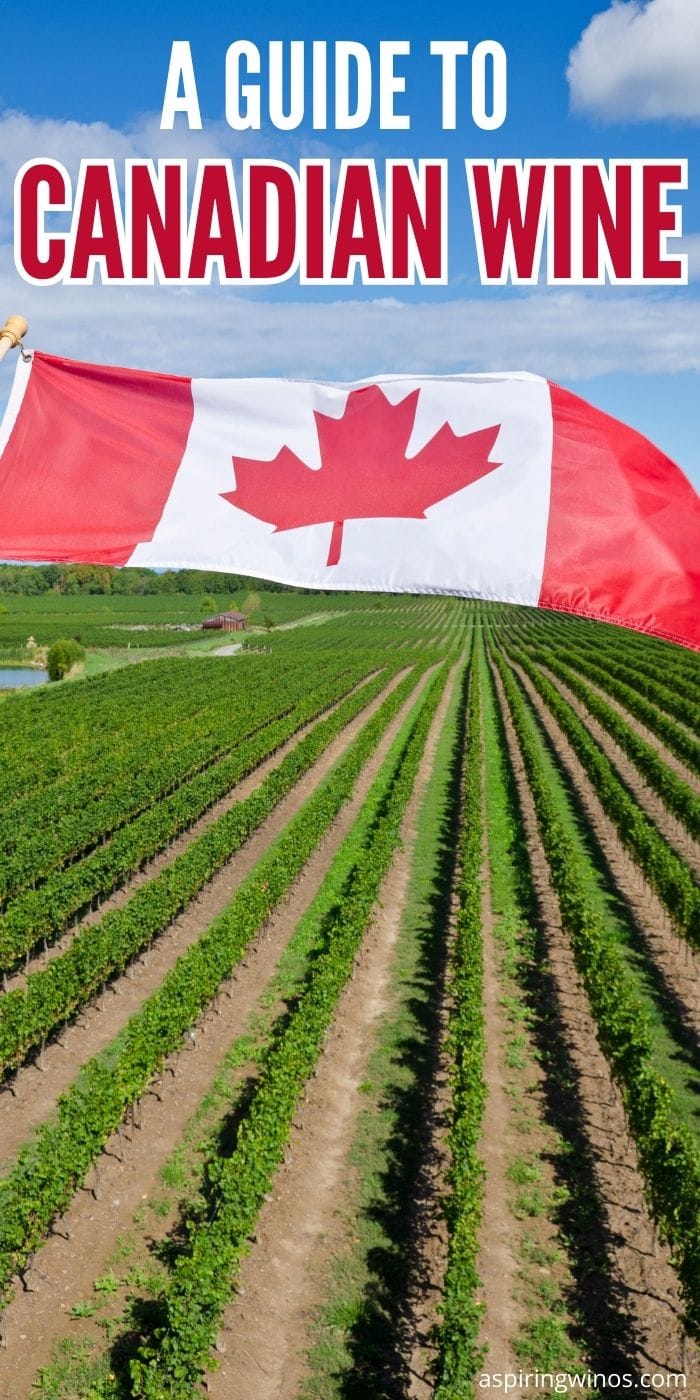 A Guide to Canadian Wine - Aspiring Winos
