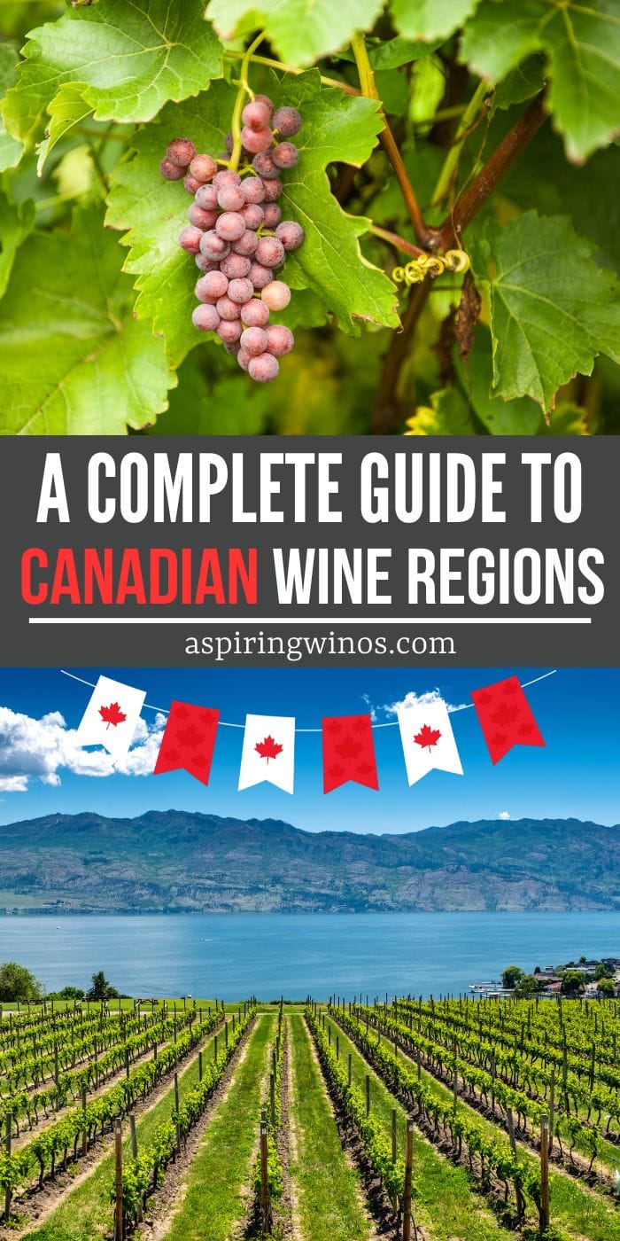 A Guide to Canadian Wine - Aspiring Winos