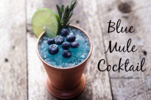 Creative Moscow Mule Recipes with a Twist - Aspiring Winos