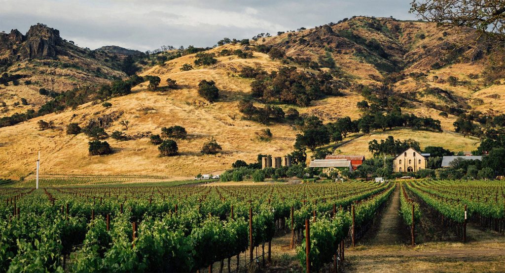 Picnic Spots Napa: The Best Picnic Places - Aspiring Winos