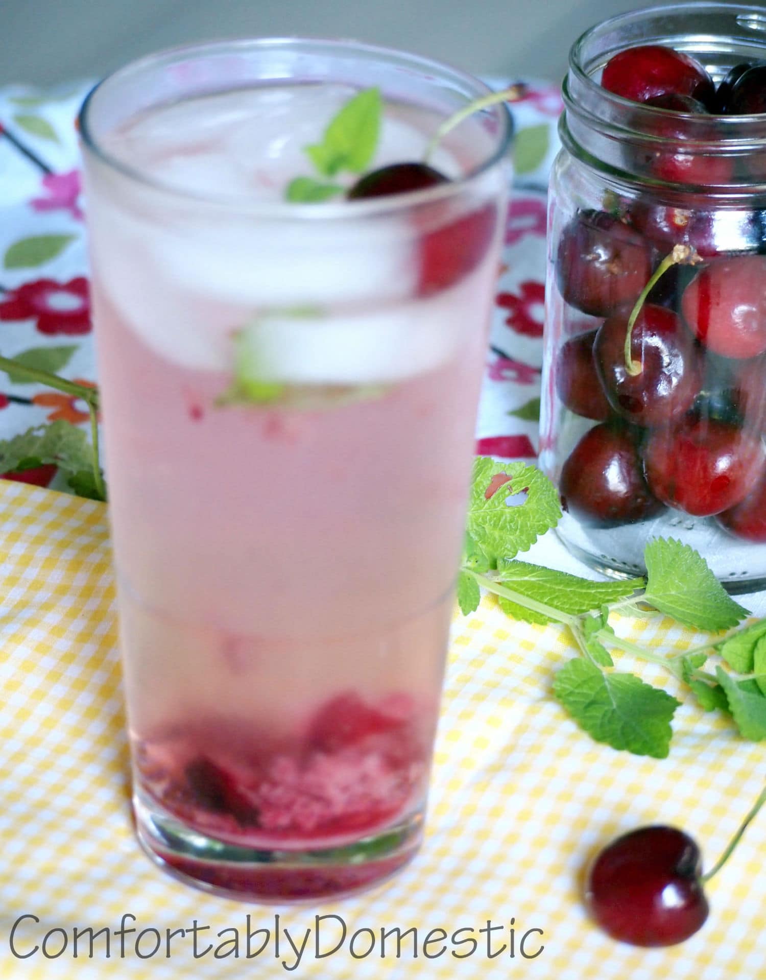 40 Delicious (alcoholic) Drinks That Use Mint: Put your Garden Mint to ...