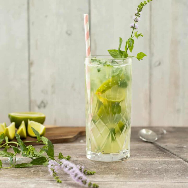 Classy Dry January Mocktails - Aspiring Winos