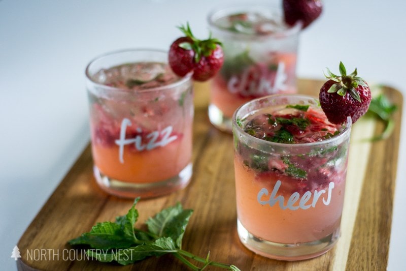 40 Delicious (alcoholic) Drinks That Use Mint: Put your Garden Mint to ...