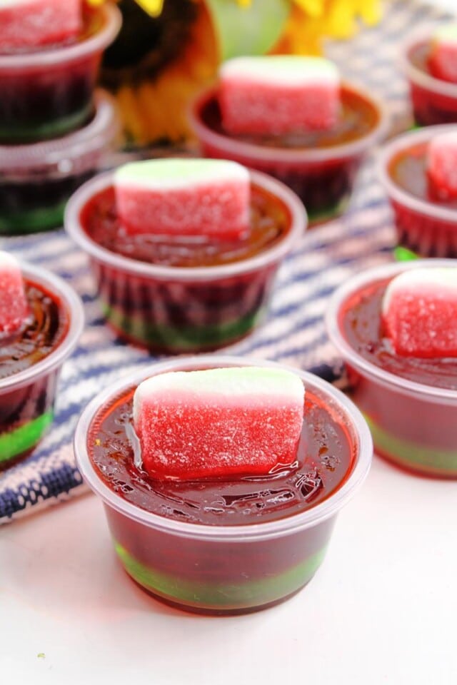 Watermelon Jello Shots - Aspiring Winos