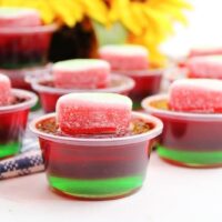 Watermelon Jello Shots - Aspiring Winos